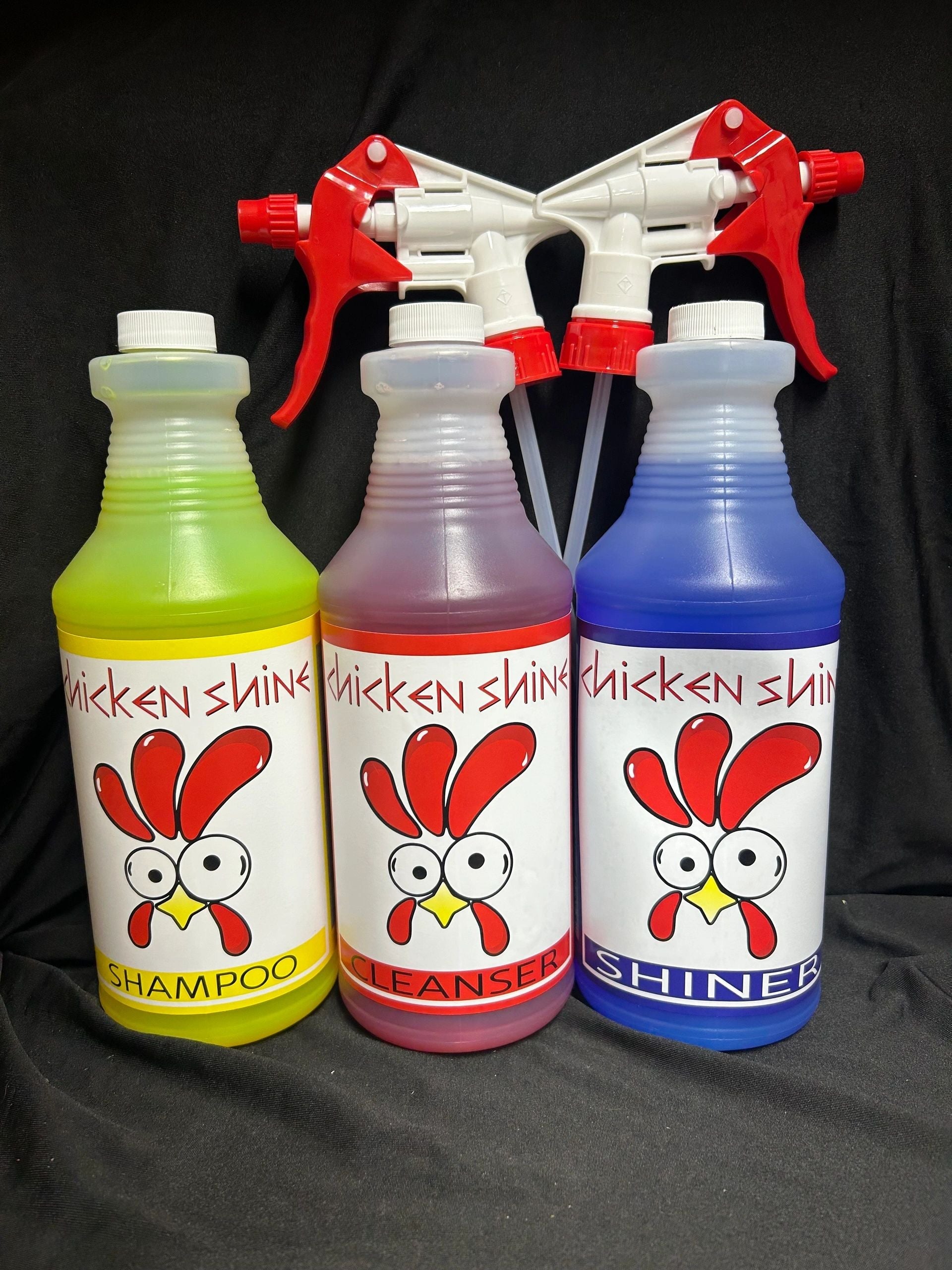 Chicken Shine – Ricky & The Boss